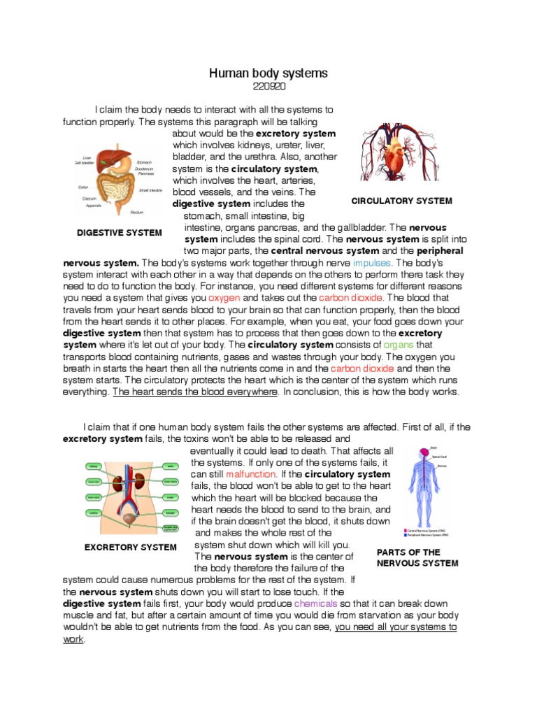 Human Body Systems: Circulatory System | PDF | Human Body | Circulatory ...