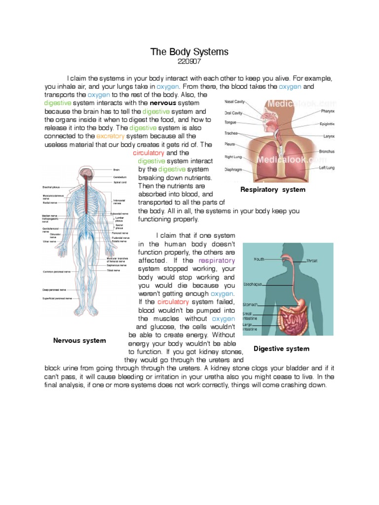 Interconnected Human Body Systems | PDF | Wellness