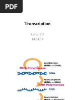 Transcription Notes Class 12 | PDF | Rna | Messenger Rna