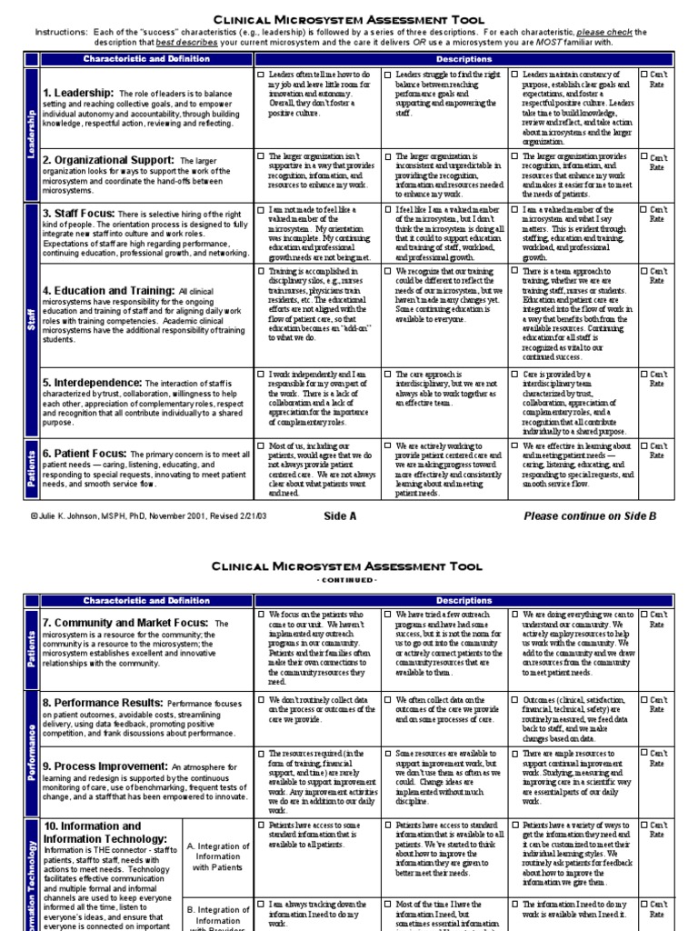 Micro System Assessment Tool | PDF | Leadership | Nursing