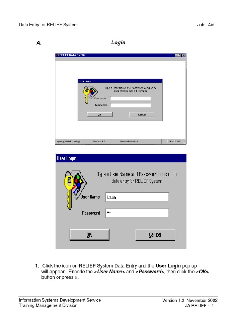 BIR RElief | PDF | Menu (Computing) | Database Transaction
