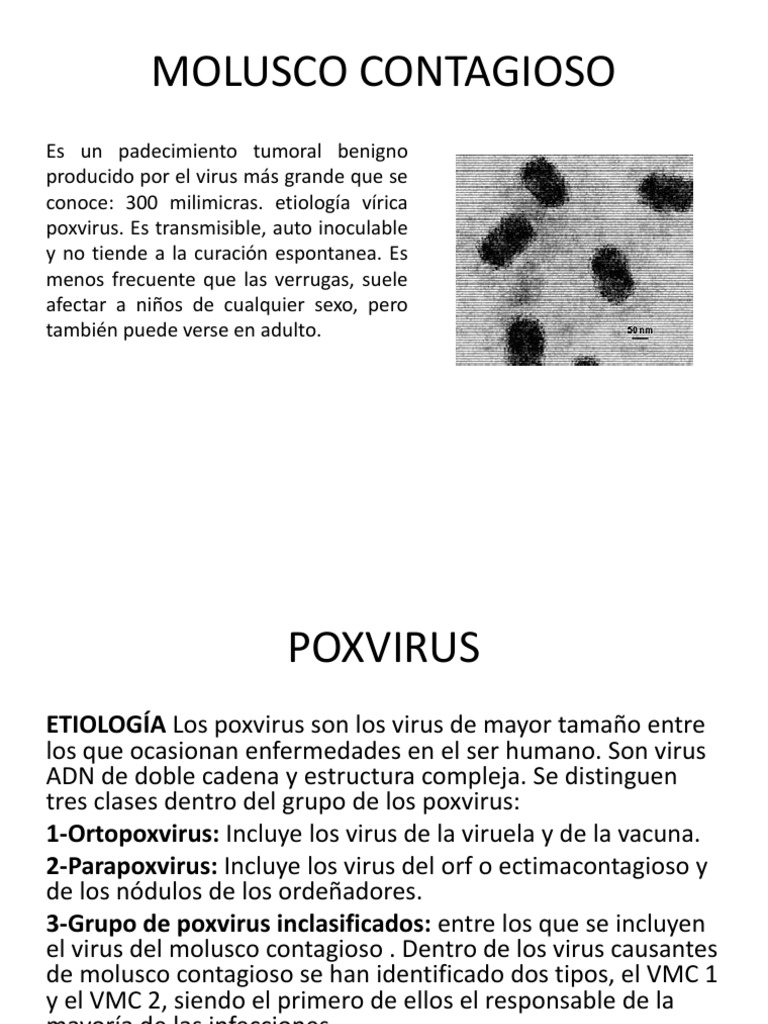 Molusco Contagioso | PDF | Salud y bienestar