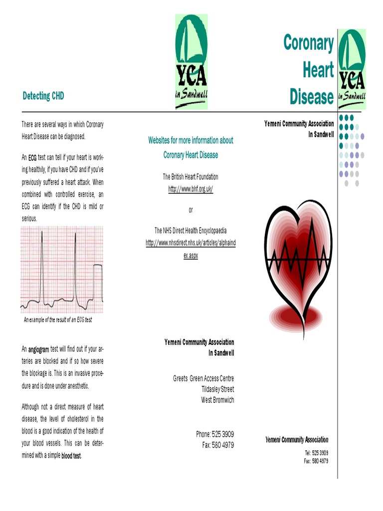 Coronary Heart Disease Leaflet | PDF | Coronary Artery Disease | Heart