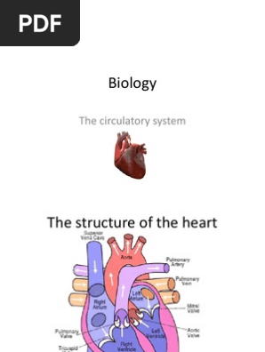 Human Circulatory System Gcse Biology Revision Notes
