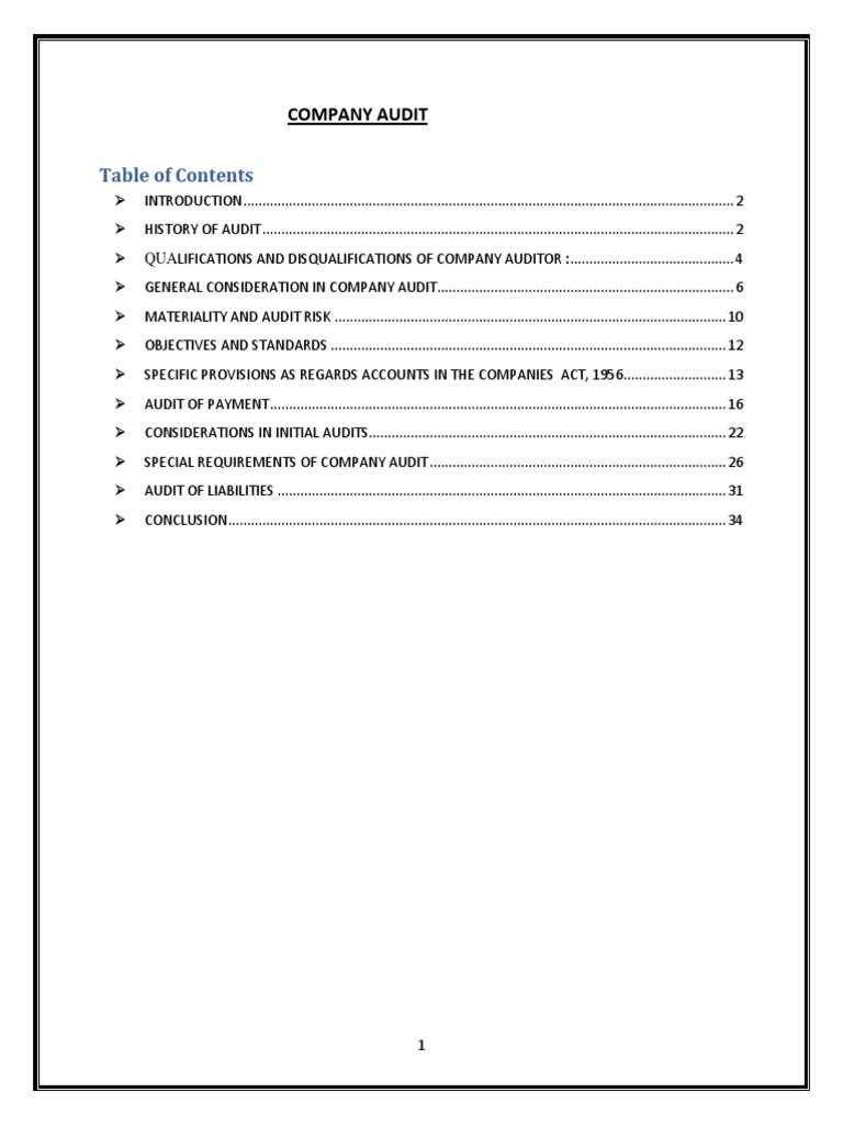 Company Audit Guide | PDF | Audit | Dividend