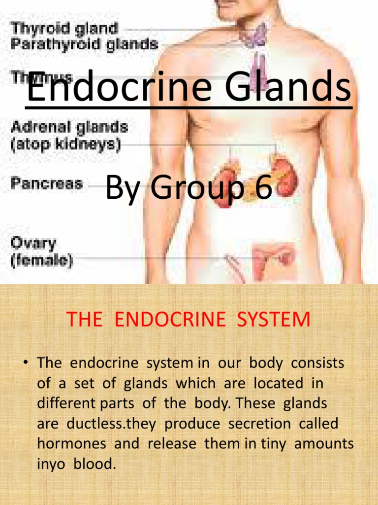 Science Glands | PDF