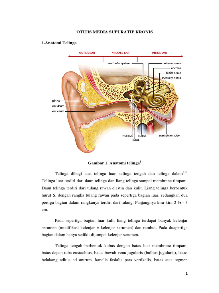 Otitis Media Supuratif Kronis