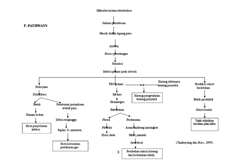 Pathway TB Paru Bu Ika | PDF