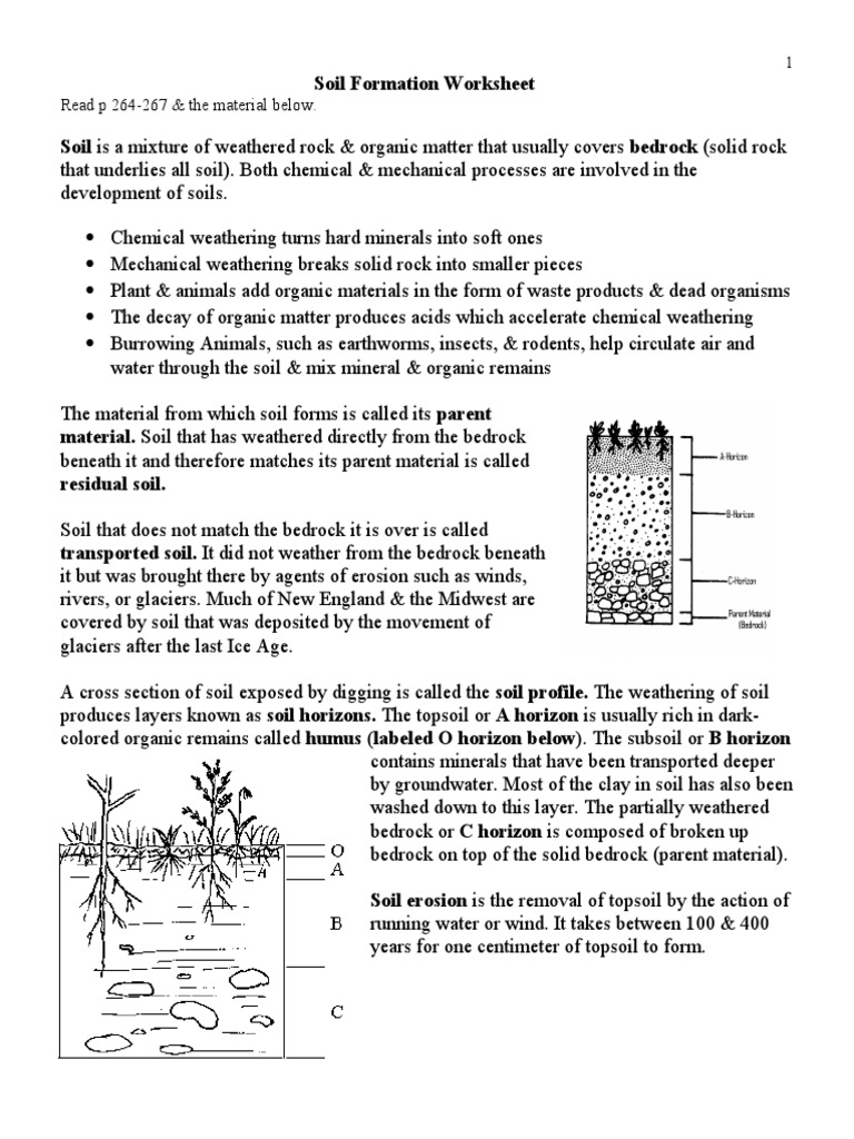 Soil Formation Worksheet | PDF | Soil | Weathering