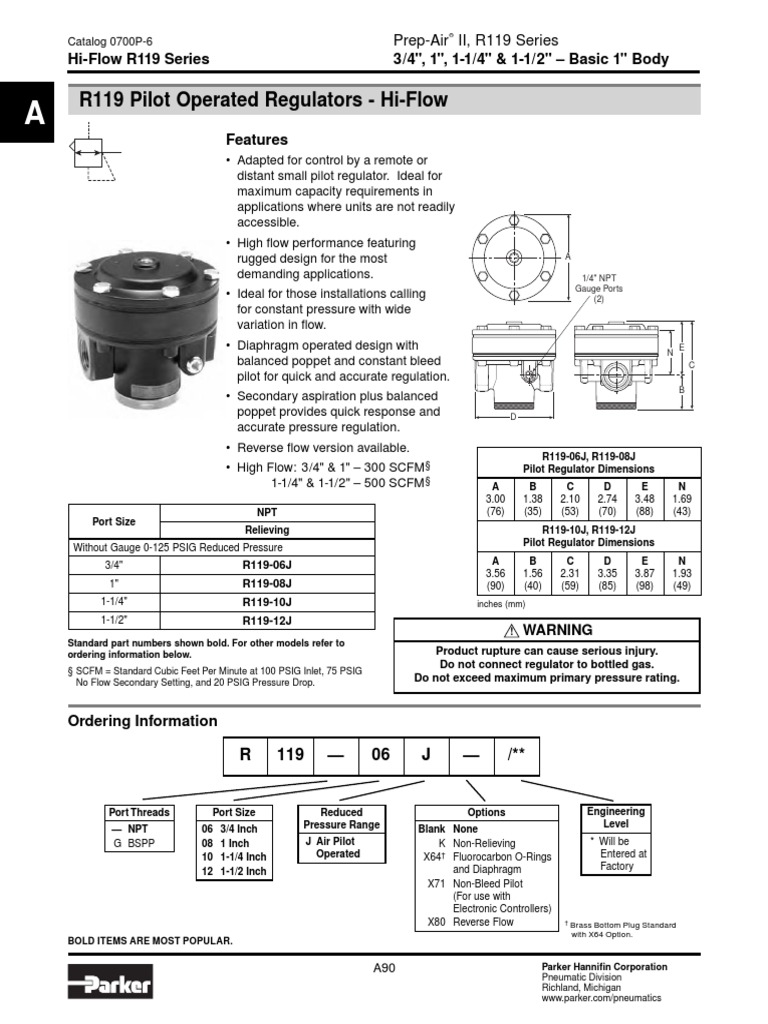 R119 Pilot | PDF | Valve | Pressure