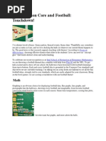 Pizza Box Book Report Instructions | PDF | Paragraph
