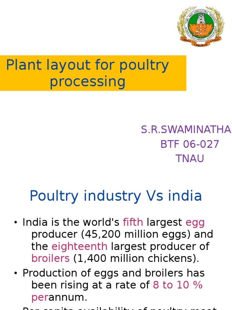 Poultry Plant Layout - Swami | PDF | Poultry | Poultry Farming