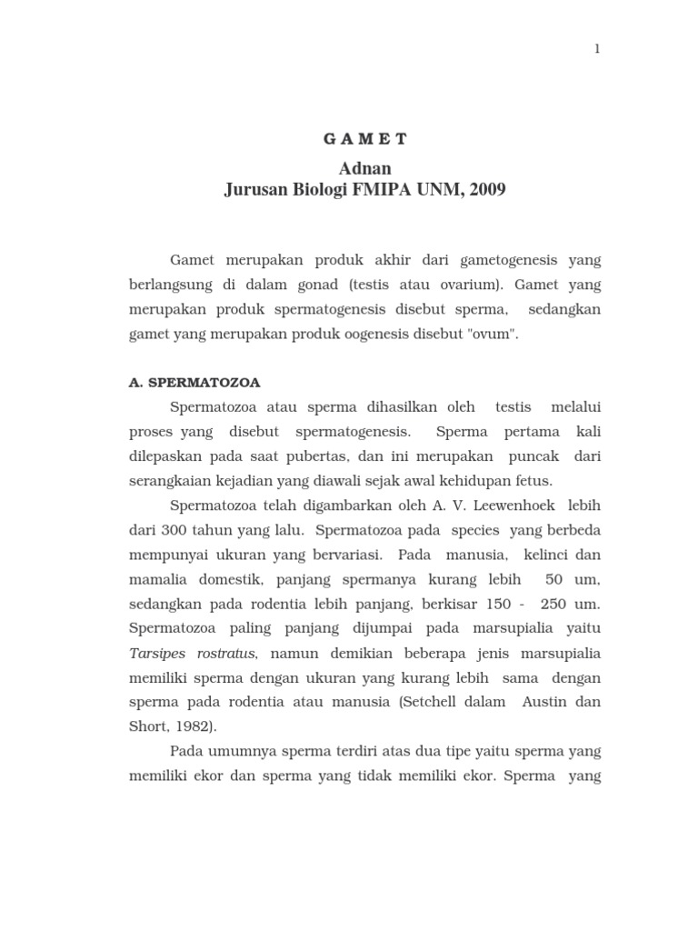 GAMET | PDF | Sains & Matematika