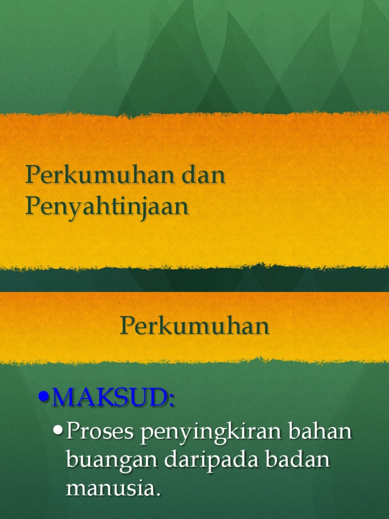 Penyahtinjaan Dan Perkumuhan Sains KSSR T4 | PDF