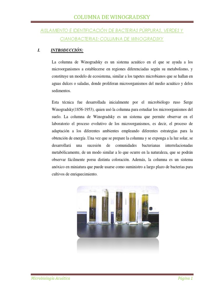 Columna de Winogradsky: Guía Práctica | PDF | Las bacterias ...