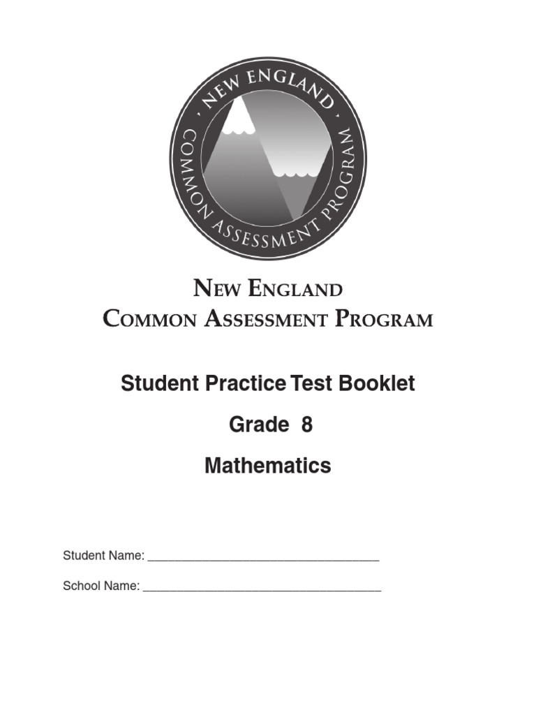 Grade 8 Mathematics Test Examples (NE) | Download Free PDF | Teaching ...