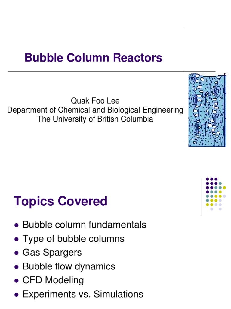 Bubble Column | PDF | Fluid Dynamics | Gases