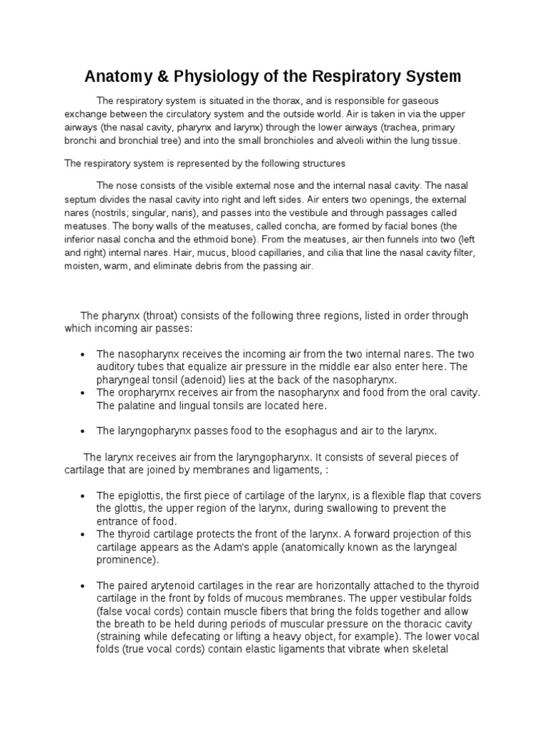 Anatomy and Physiology of Respiratory System | PDF | Respiratory Tract ...