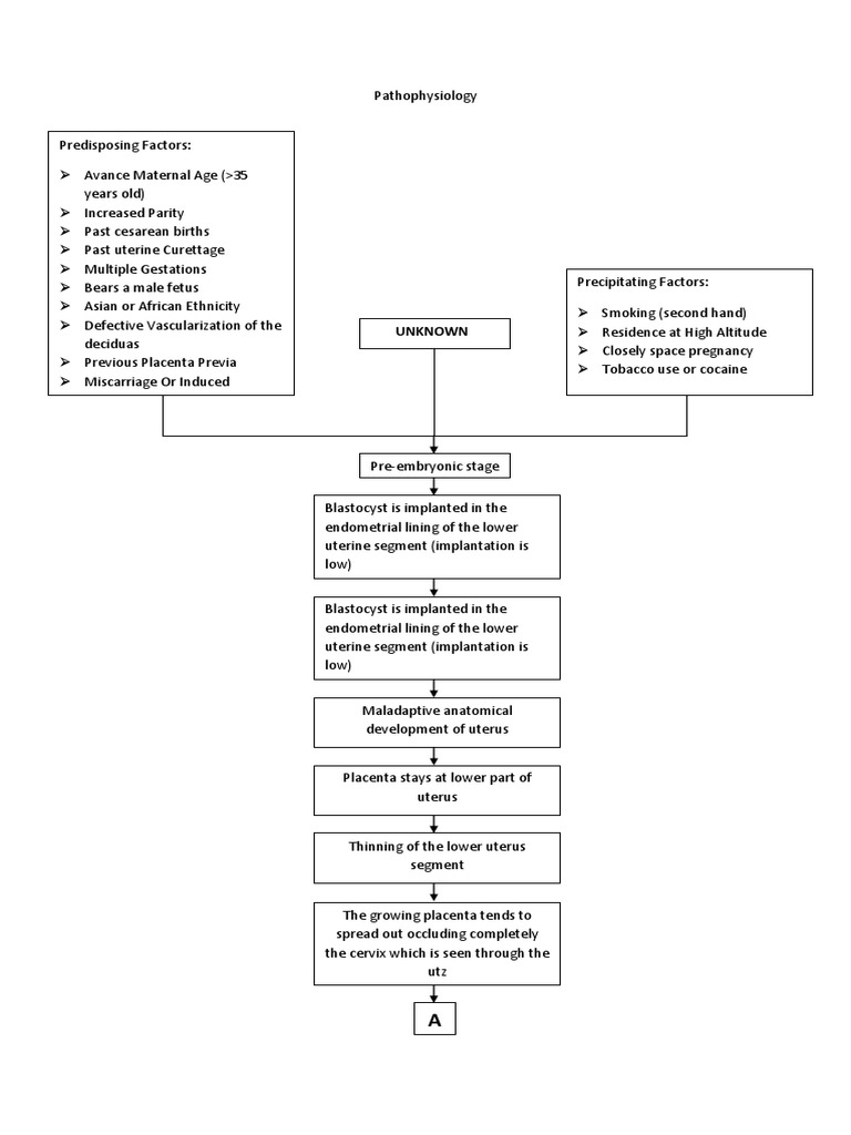 Patho Physiology | PDF