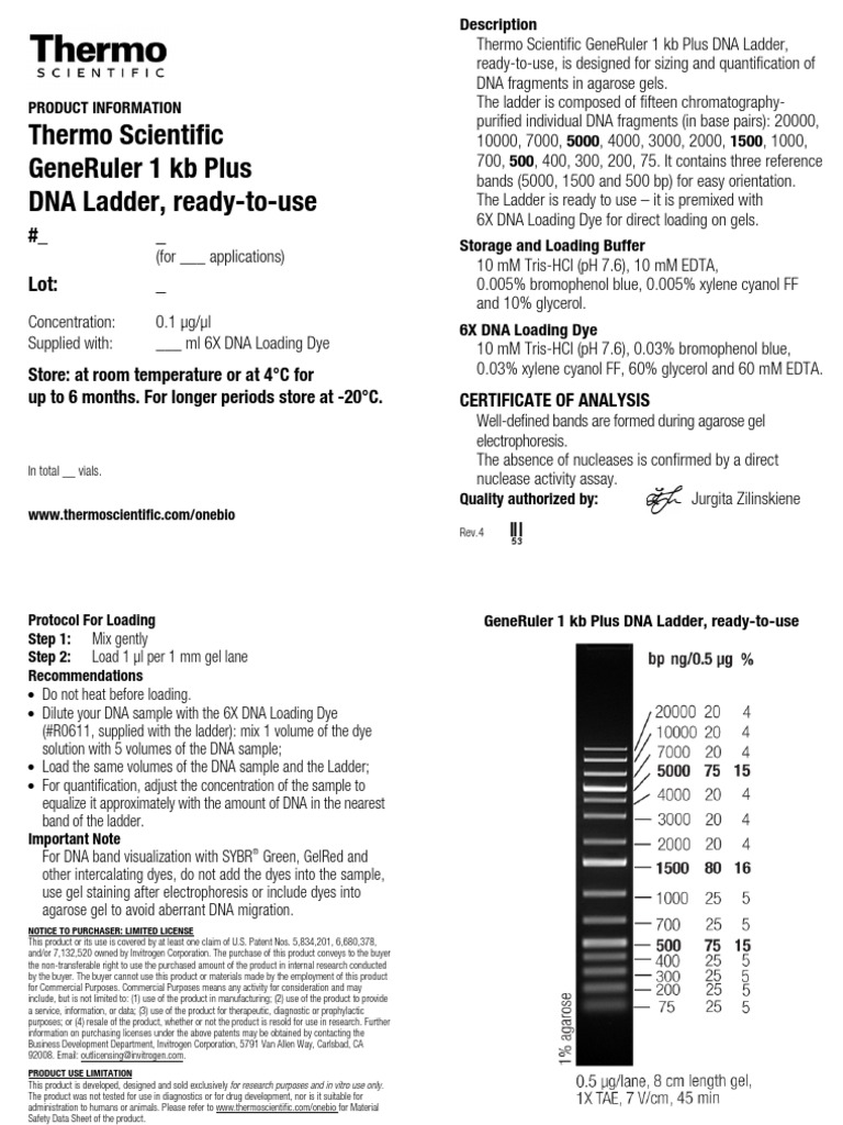 Thermo Scientific GeneRuler 1 KB Plus DNA Ladder, Ready-To-use | PDF ...