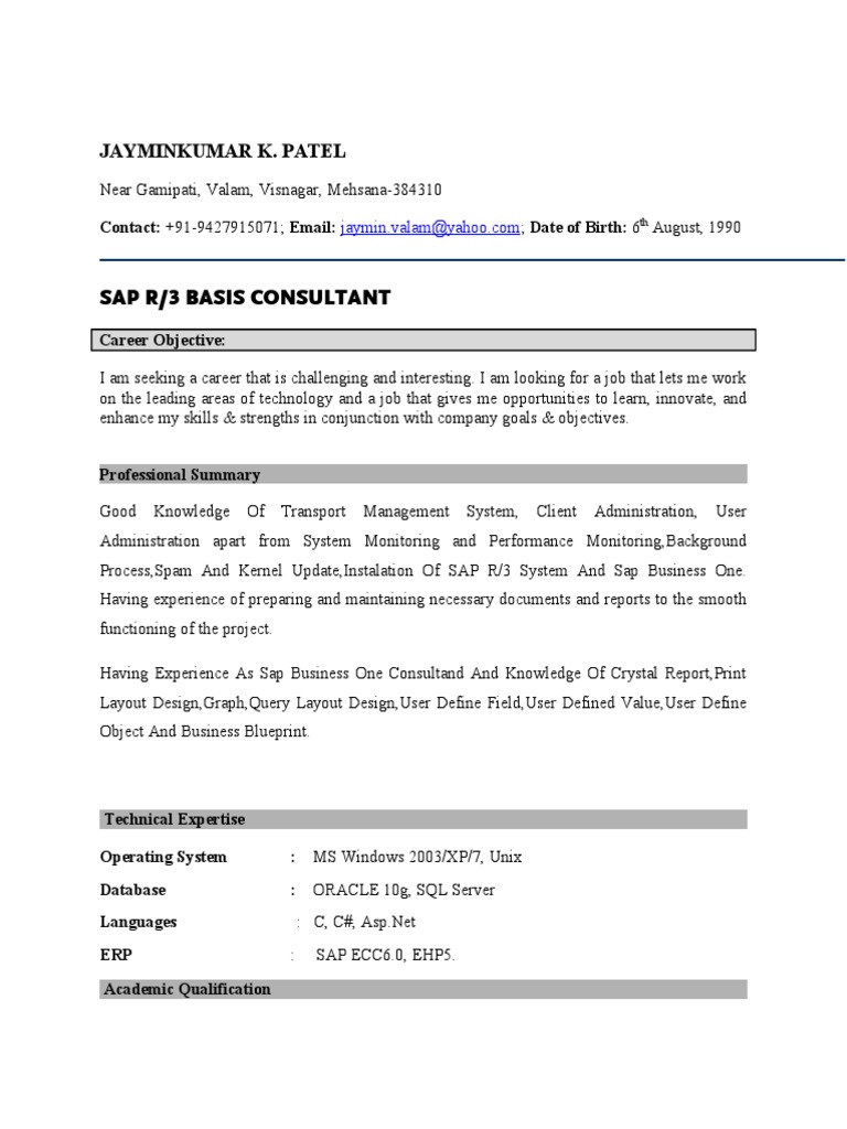 Jayminkumar Patel: SAP Consultant Profile | PDF