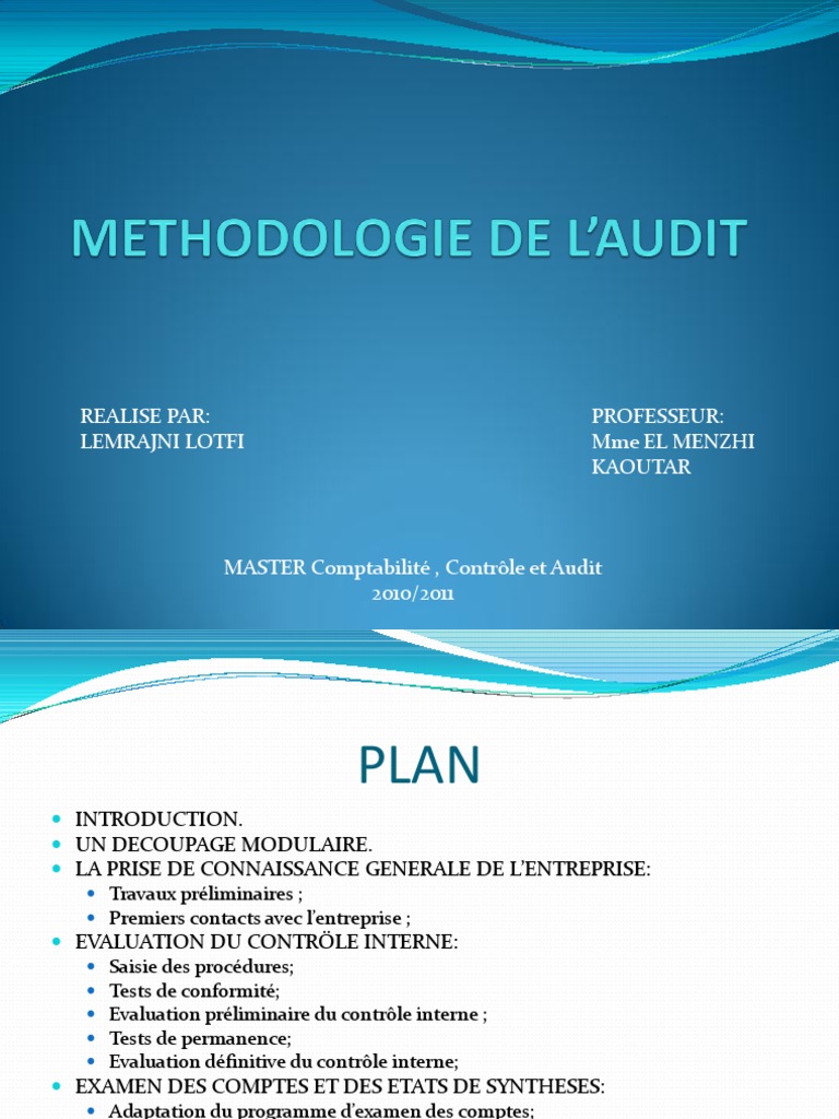 La Demarche de L'audit | PDF