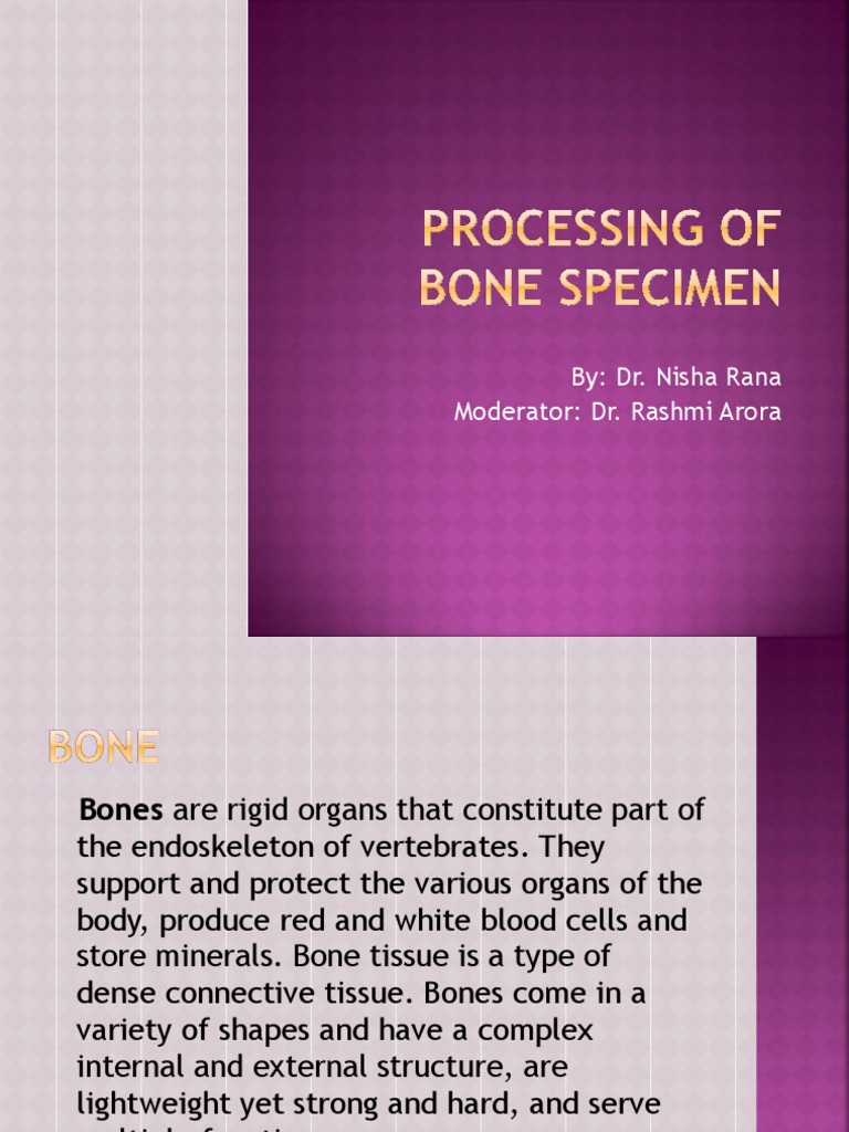 Processing of Bone Specimen | PDF | Osteoblast | Bone