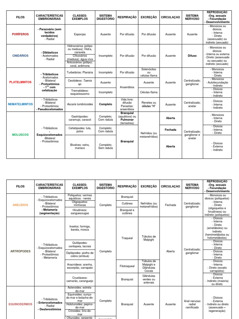 Tabela - Filos Do Reino Animal | Organismos | Fósseis Vivos