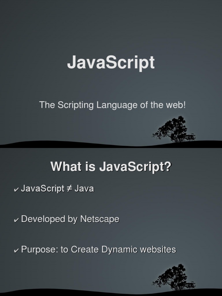 Javascript: The Scripting Language of The Web! | PDF | Business | Computers