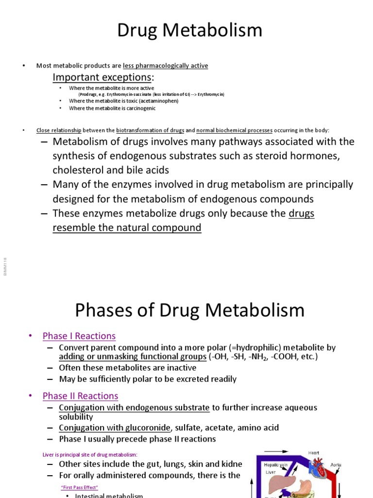 Biotransformation | PDF | Drug Metabolism | Cytochrome P450