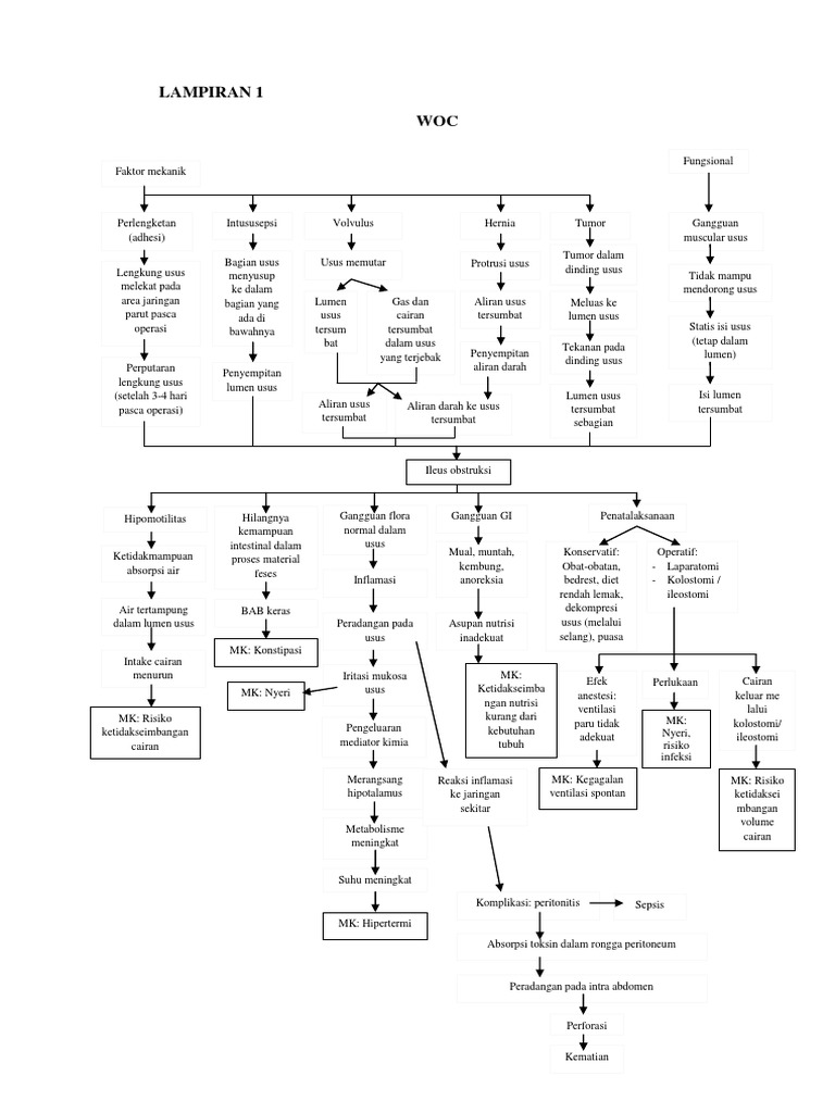 Operasi Laparatomi - Homecare24