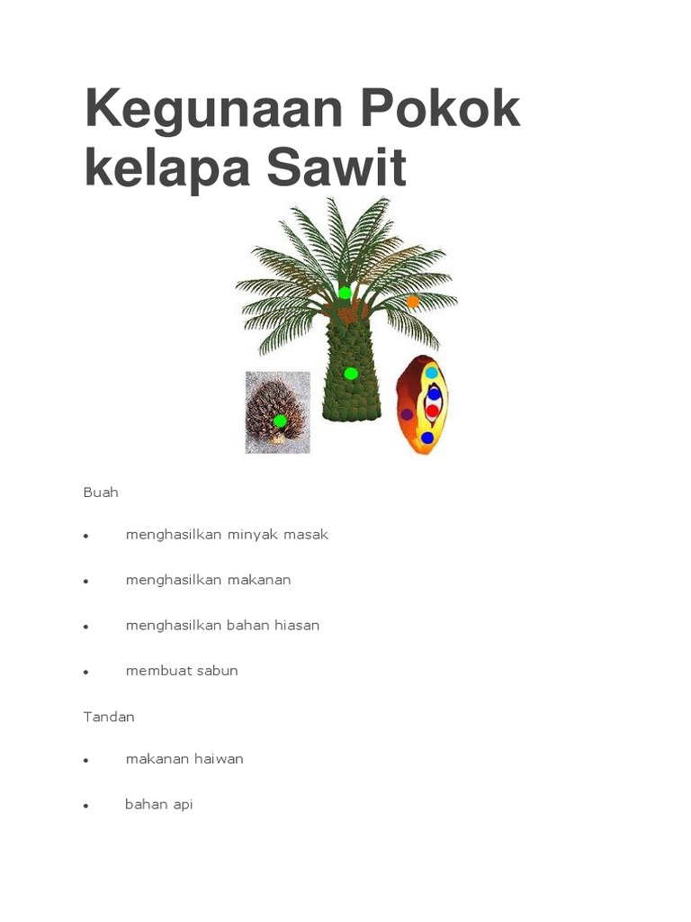 Aku Sebatang Pokok Kelapa Sawit Analusiana 08970331608 Home Facebook
