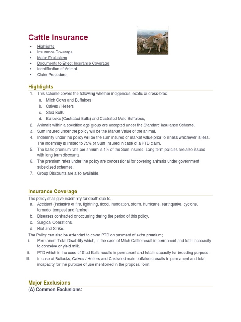 Cattle Insurance | Download Free PDF | Insurance | Cattle