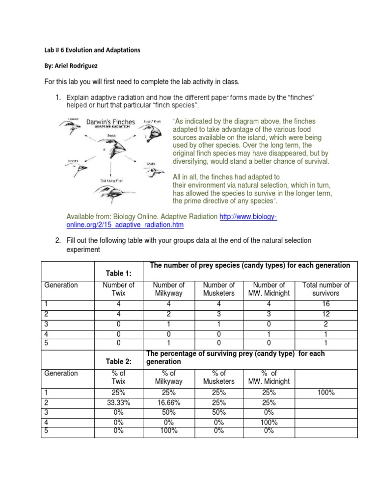Evolution and Adaptations Lab Guide | PDF | Adaptation | Predation