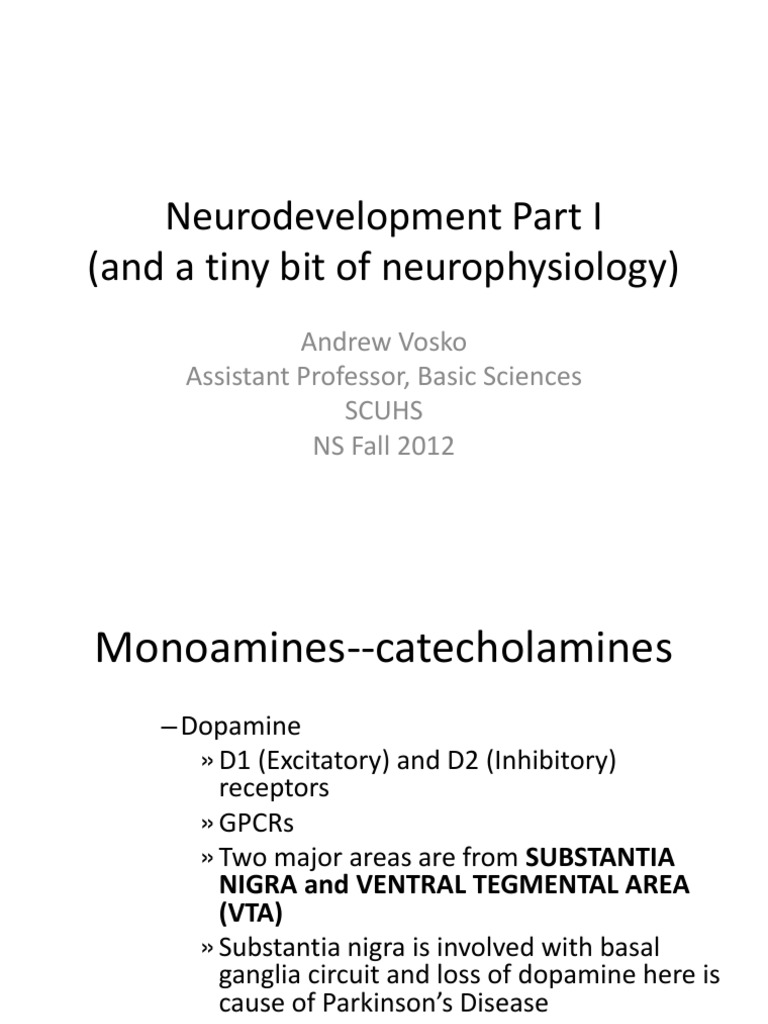 Neurodevelopment Part I: An Overview of the Development of the Nervous ...