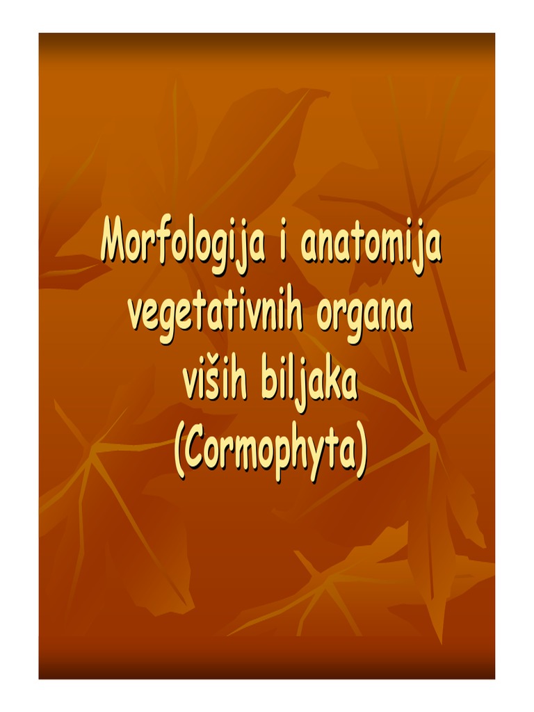 7-Morfologija I Anatomija Vegetativnih Organa | PDF