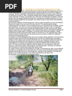 The Hunchback of Notre Dame - Symbols and Imagery | PDF | Quasimodo ...