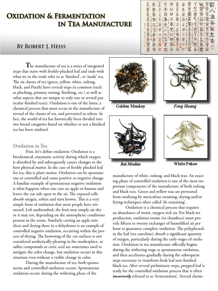 Oxidation Fermentation in Tea Manufacture Single Page Layout | PDF ...