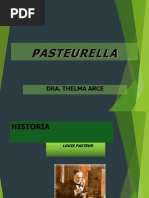 Características del exudado purulento | PDF | Infección | Medicina CLINICA