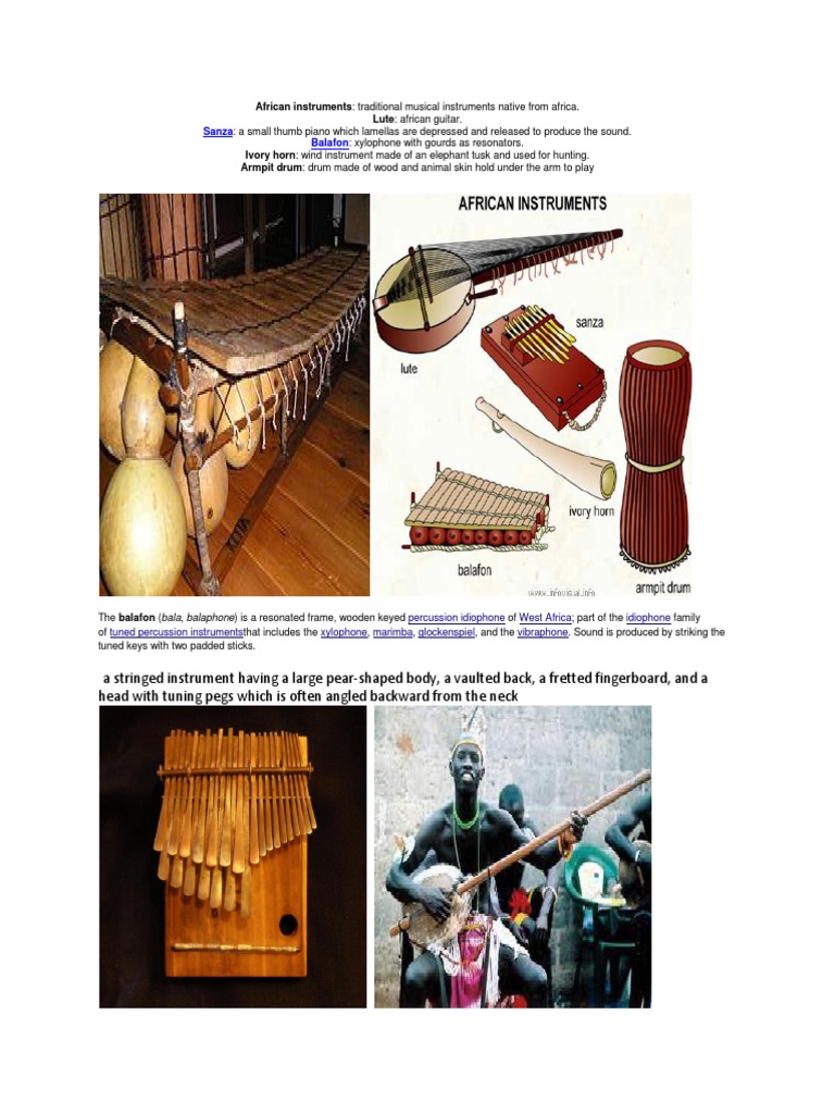 African Instrument | PDF