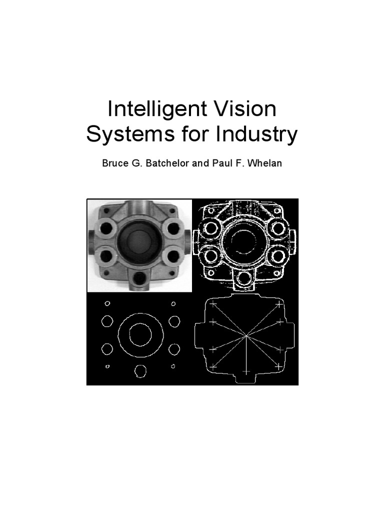 Intelligent Vision Systems For Industry | PDF | Automation | Computer ...