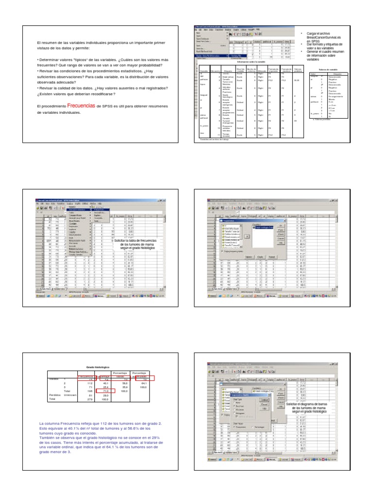Estadistica Descriptiva Ejercicios Spss | PDF | Oblicuidad | Spss