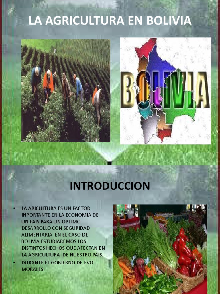 La Agricultura en Bolivia | Agricultura | Área rural