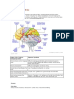 Brain Parts & Mnemonics Guide | PDF | Cerebral Hemisphere | Cerebral Cortex
