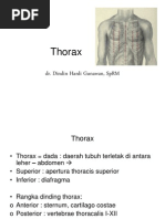 ANATOMI Thorax | PDF
