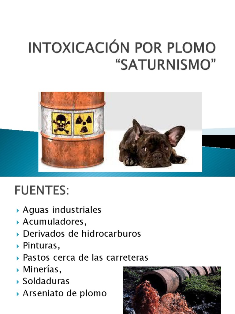 Intoxicación Por Plomo | PDF | Dirigir | Especialidades Medicas