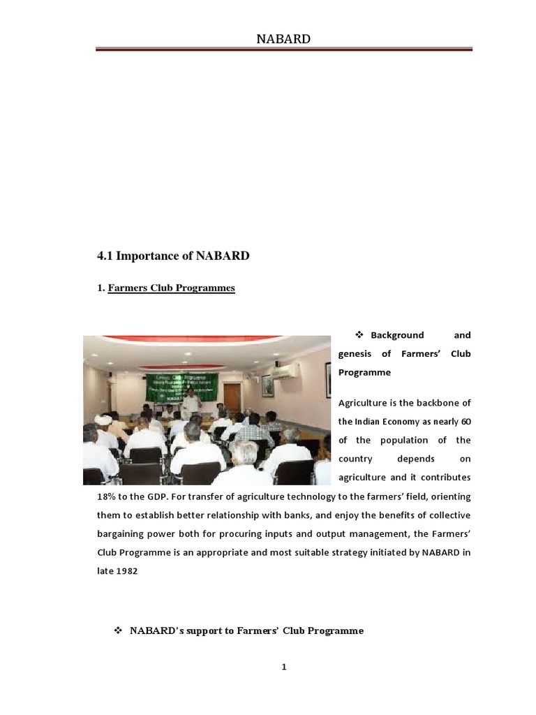 Nabard Project | PDF | Microfinance | Banks