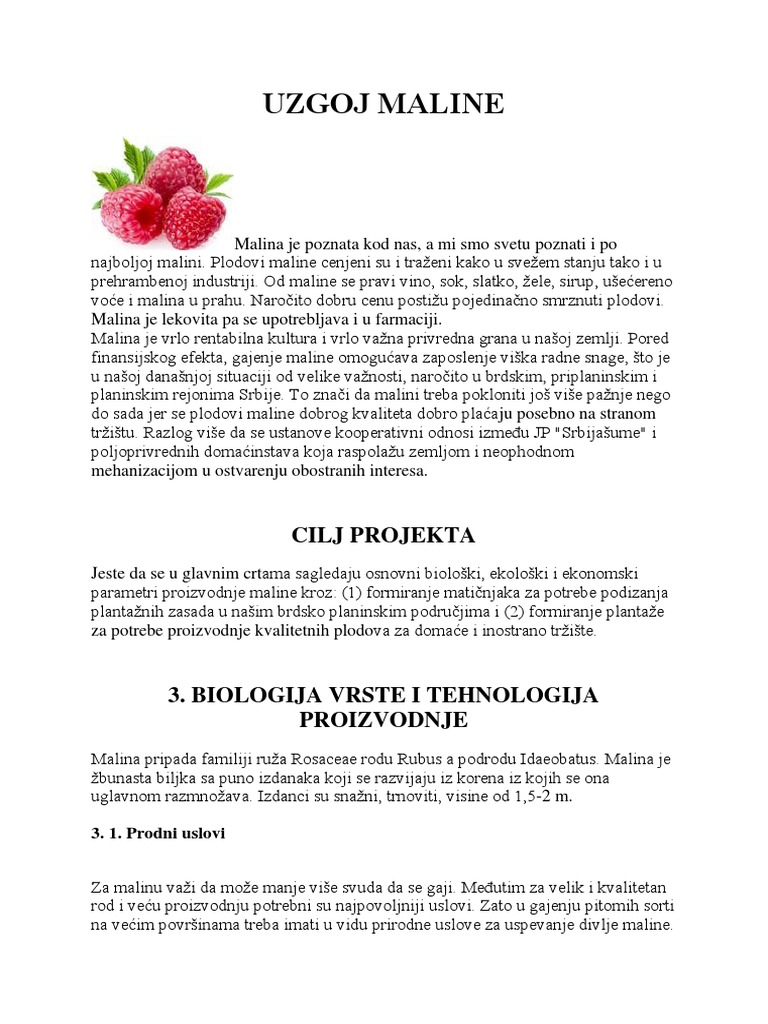 Uzgoj Maline | PDF