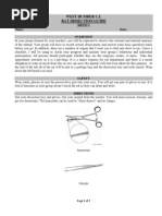 Labeled Rat Dissection Guide | PDF | Gastrointestinal Tract | Abdomen