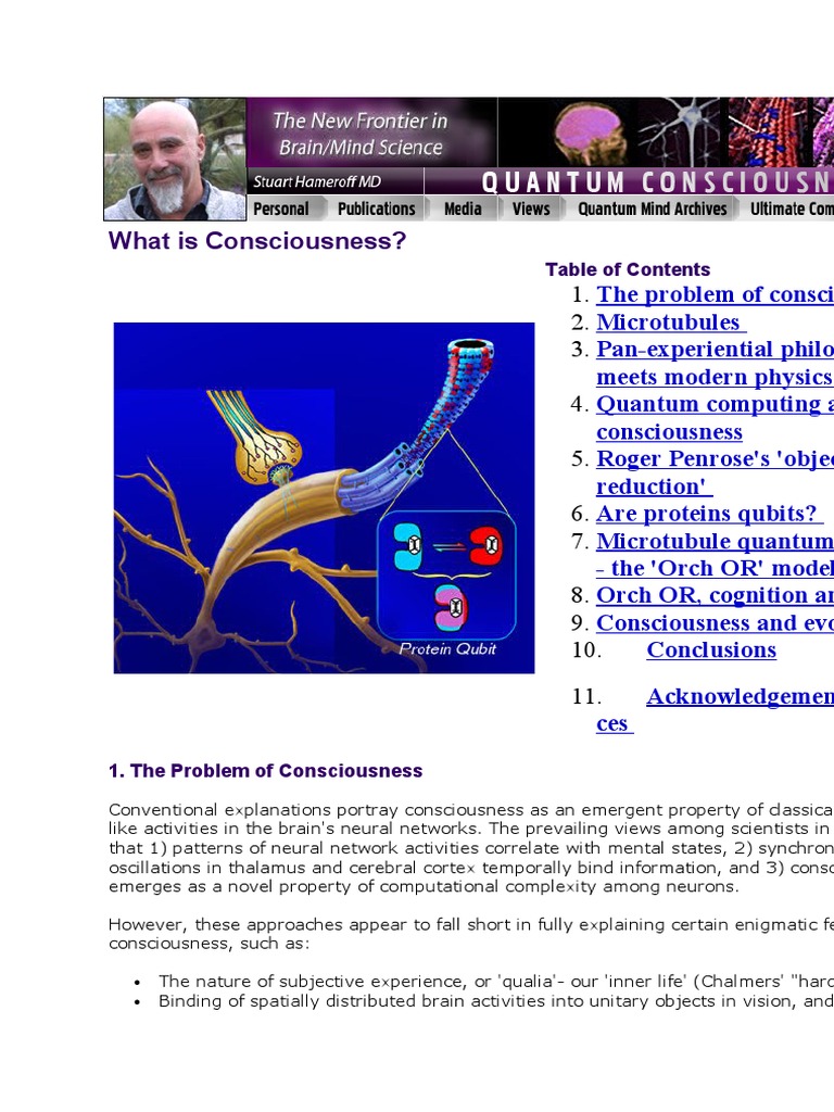 What Is Consciousness | PDF | Neuron | Microtubule